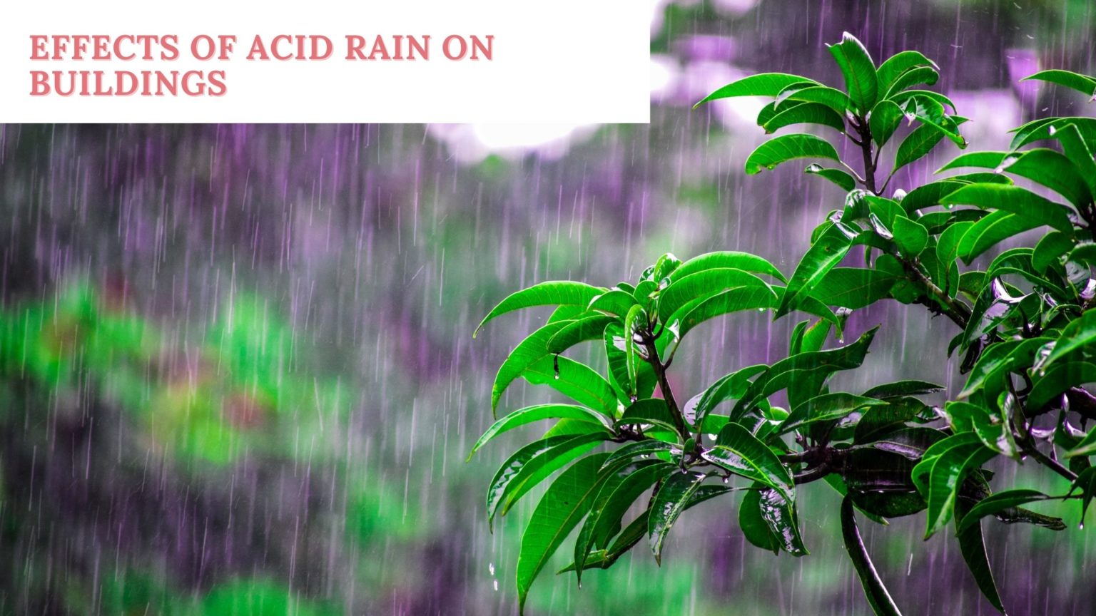 Effects of Acid Rain on Buildings - Science Fair Projects