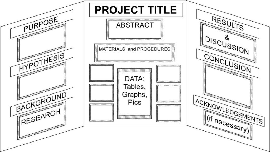 Science Fair Board : A Guide to the Board - Science Fair Projects